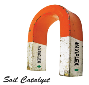 MAXIPLEX - Turfcare Australia